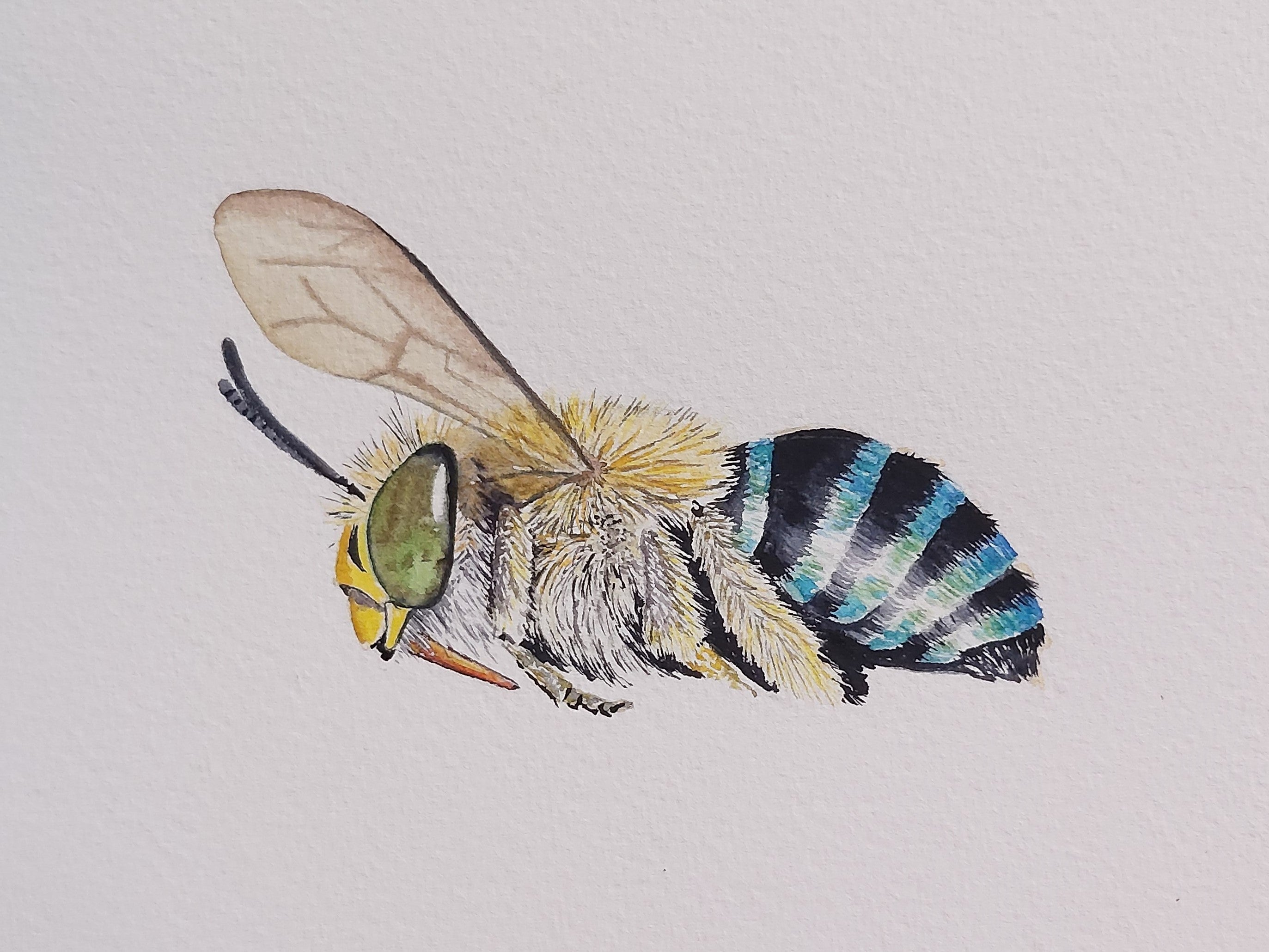 Keeping up with the bees with artist and scientist STEPHANIE DIX ...