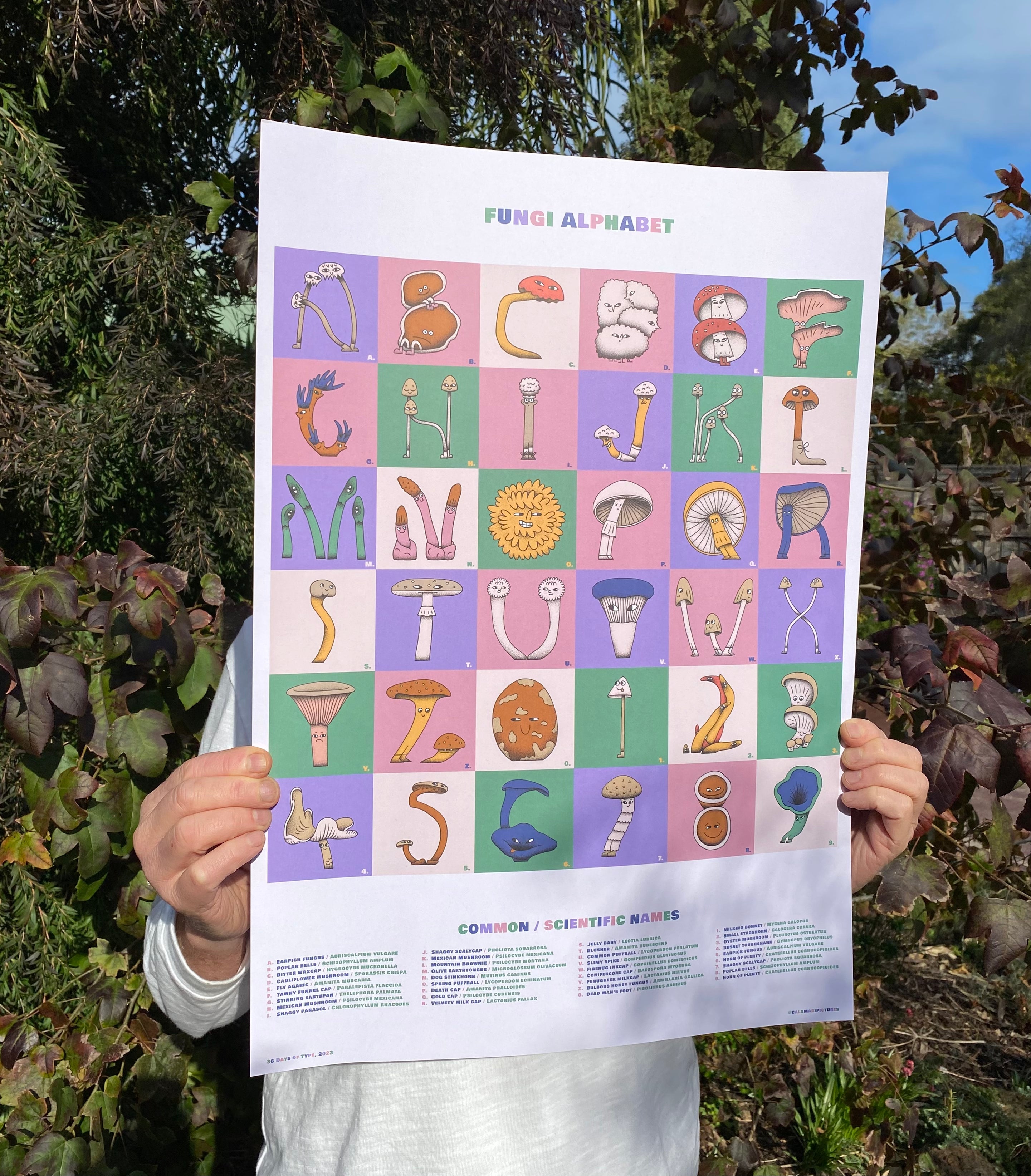 FUNGI ALPHABET: A2 Poster – westernportsupplyco